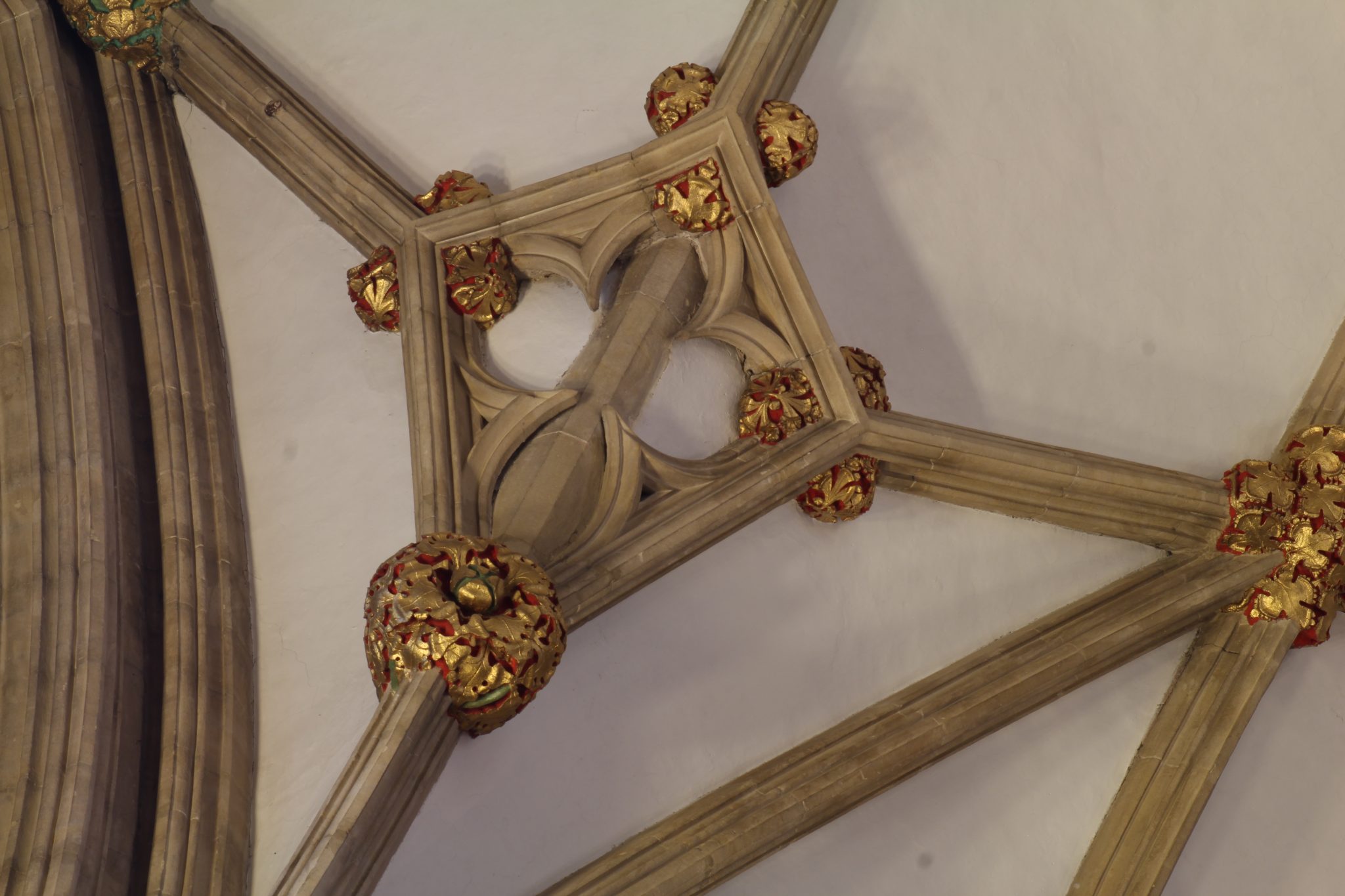 Ribs – Tracing the Past: Medieval Vaults