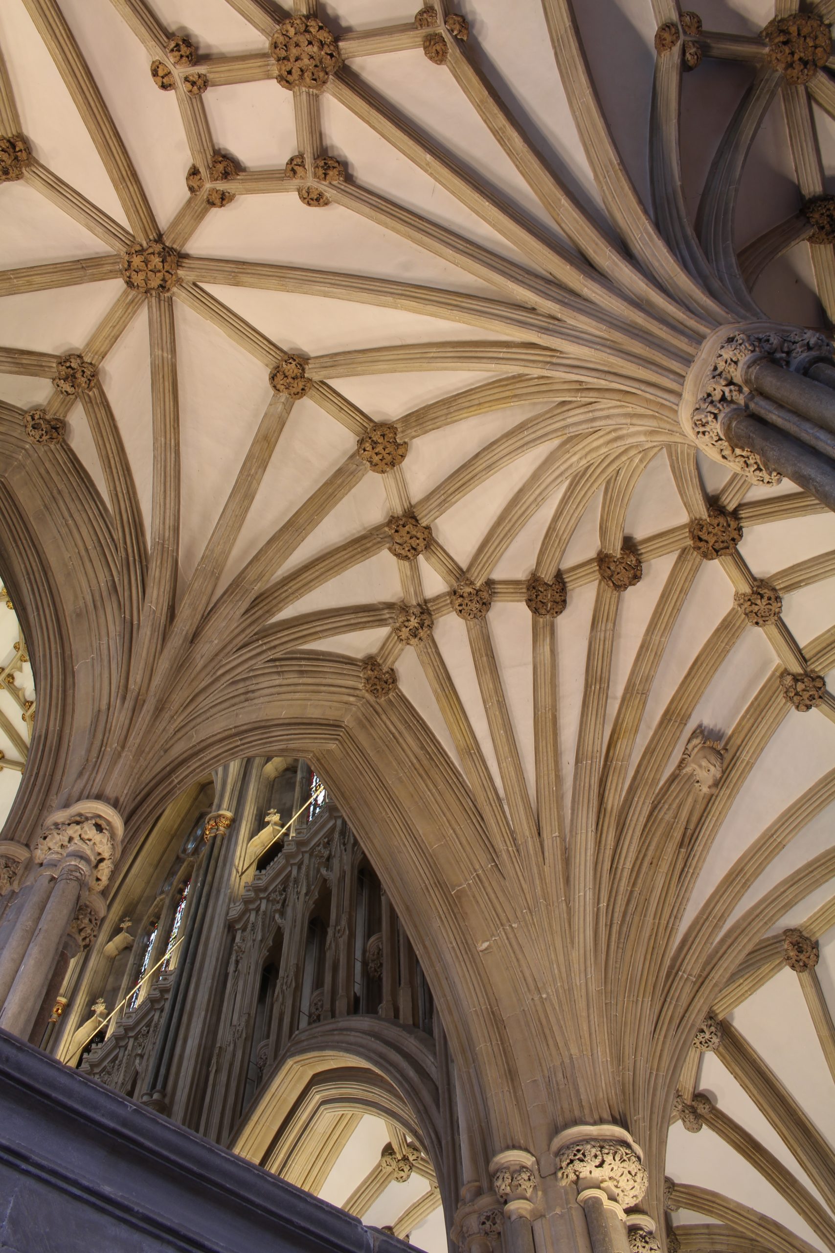 Wells – Tracing the Past: Medieval Vaults